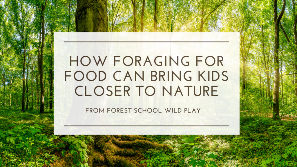 Forest School Wild Play: How Foraging for Food Can Bring Kids Closer to Nature - Watkins Publishing